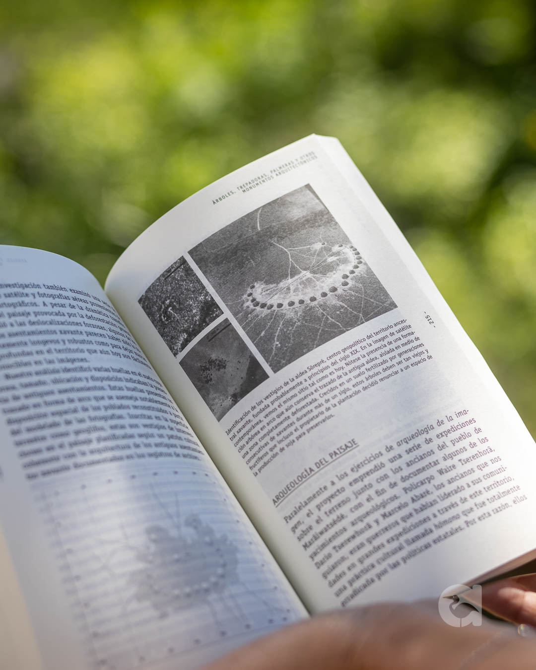 La naturaleza política de la selva | Revista Ardea